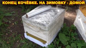 Финские Bee-Box. Юхани Вааро. Ульи ППС